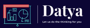 Datya Solutions